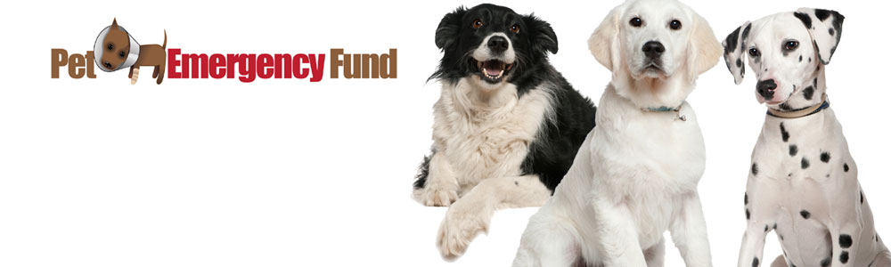 new_header_05d - Pet Emergency Fund